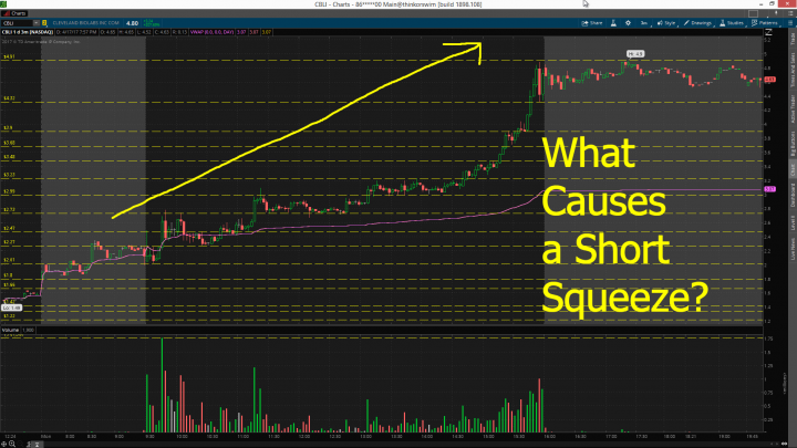 Madaz Money: Learn to Day Trade Stocks, Penny Stocks and Live That ...